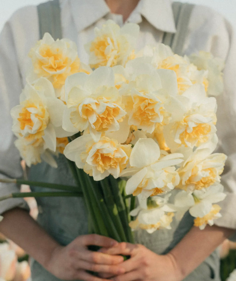 Dahlias, cut flowers, and decor for your home and garden – Fuirk Home